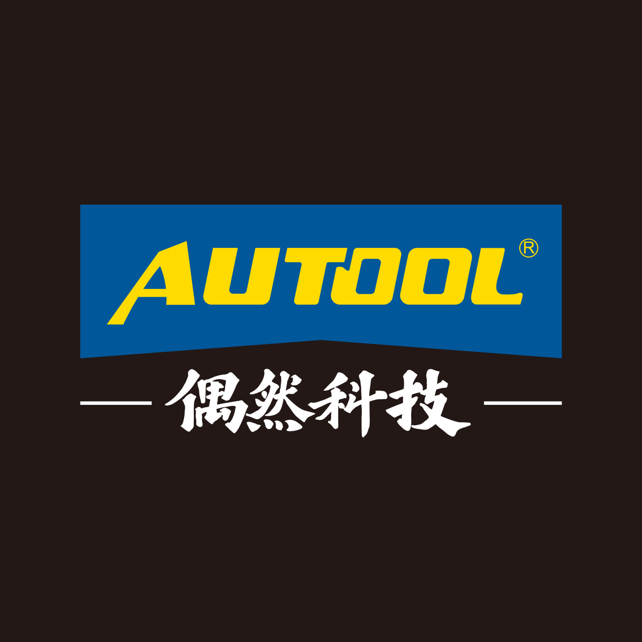 Automotive Endoscope Camera-Important Tool - AUTOOL